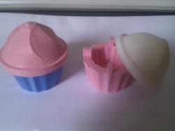 temu pastel cupcake container 3D Models | Page 1 | STLFinder