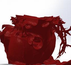 heart model generated from ct scan data | Page 1 | STLFinder