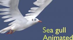 Lowpoly animated seagull 3D Models | Page 1 | STLFinder