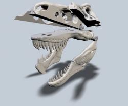 exploding skull model | Page 1 | STLFinder