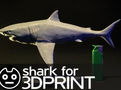 shark hairwrap case 3dprint | Page 1 | STLFinder