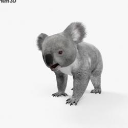 dumb koala 3d animation hd | Page 1 | STLFinder