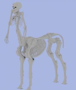 free 3d skeleton 3d models | Page 1 | STLFinder