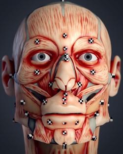 muscle print 3D Models | Page 1 | STLFinder