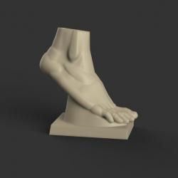 foot reference 2 part2 3d print model | Page 1 | STLFinder
