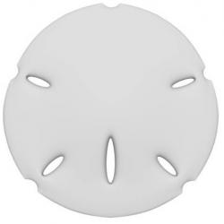 Sand Dollar 3D print model - Free 3D Model | STLFinder
