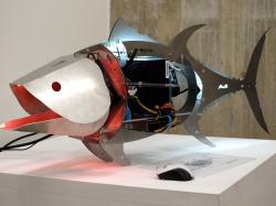 bluefin tuna 3d models 【 STLFinder