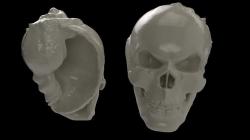 hermit crab stand 3d print file | Page 1 | STLFinder