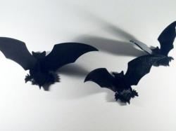 3d bats | Page 1 | STLFinder