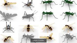 3d printed insects 【 STLFinder