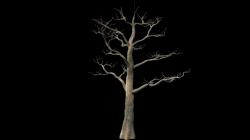 tree without leaves 3D Models | Page 1 | STLFinder