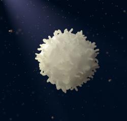 white blood cell model | Page 1 | STLFinder