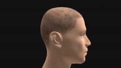 buzz cut model | Page 1 | STLFinder