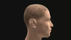 3D Hair Male Short Afro Hairstyles Low-poly 3D model - Free 3D Model ...