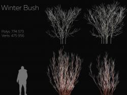 raspberry bush care for winter 3D Models | Page 1 | STLFinder