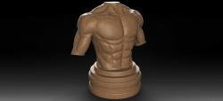 white male muscular torso 3D Models | Page 1 | STLFinder