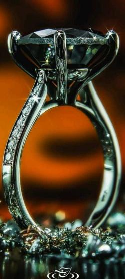 t shirt print frog by cassani 3D Models | Page 1 | STLFinder