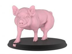 free printable pig template 3d models | Page 1 | STLFinder