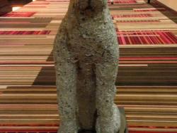 cosmo dog 3D Models | Page 1 | STLFinder