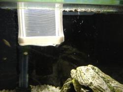 fish tank fry box 3d models | Page 1 | STLFinder