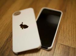 iphone 13 fluffy bunny case 3D Models | Page 1 | STLFinder