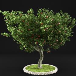 apple tree 3d model | Page 1 | STLFinder