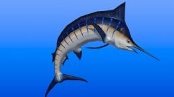 blue marlin 3d paper craft geometric low poly printable | Page 1 ...