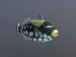 triggerfish 8 3d models | Page 1 | STLFinder