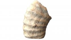 3D low poly ammonite fossil 3D Models | Page 1 | STLFinder