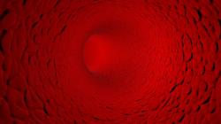 human vein system 3D Models | Page 1 | STLFinder