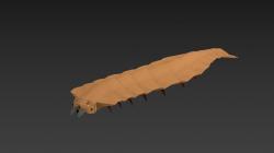 prehistoric centipede 3D Models | Page 1 | STLFinder