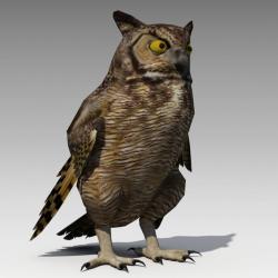 owl animated 3D Models | Page 1 | STLFinder