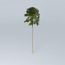 cabbage 3d model free 【 STLFinder