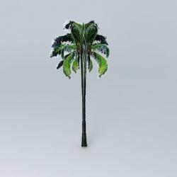 coconut tree 3d model free | Page 1 | STLFinder