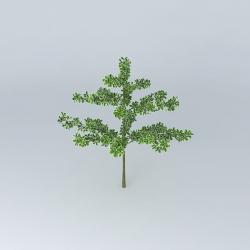 ketapang kencana sketchup 3D Models | Page 1 | STLFinder