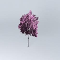 purple cherry tree 3D Models | Page 1 | STLFinder