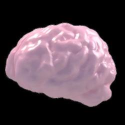 brain 3d model free | Page 1 | STLFinder