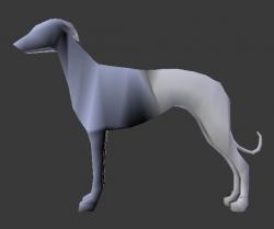 greyhound skeleton 3d model free | Page 1 | STLFinder