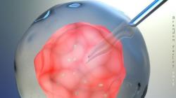 science 3d model free | Page 1 | STLFinder