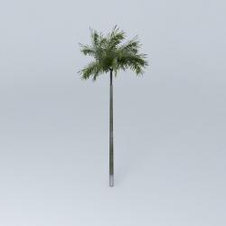 palm tree free 3d model 【 STLFinder