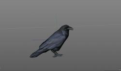 free crow 3d model | Page 1 | STLFinder