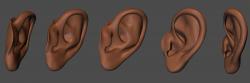 free 3d ear model | Page 1 | STLFinder