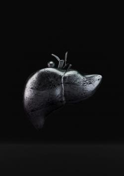 3d liver model free download | Page 1 | STLFinder