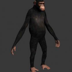 free monkey 3d model | Page 1 | STLFinder