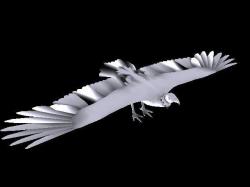 turkey vulture 3d models | Page 1 | STLFinder