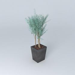 eucalyptus parvifolia green 3D Models | Page 1 | STLFinder