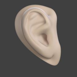 blender ear 3D Models | Page 1 | STLFinder