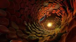 blood west model | Page 1 | STLFinder