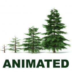 individual tree growth model diameter | Page 1 | STLFinder
