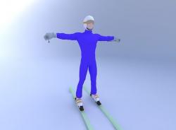 skier model 【 STLFinder